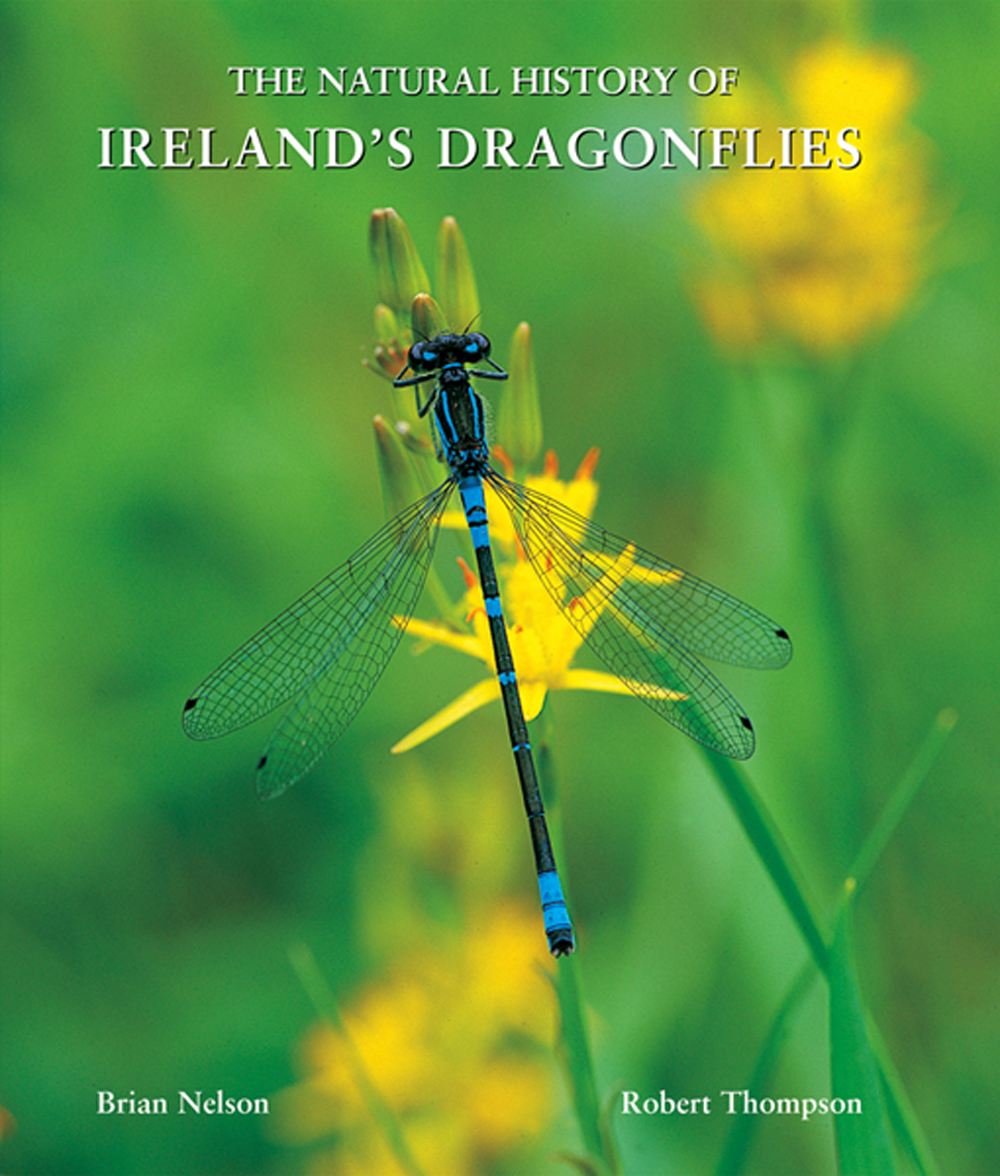 The Natural History of Ireland's Dragonflies | Colourpoint Books
