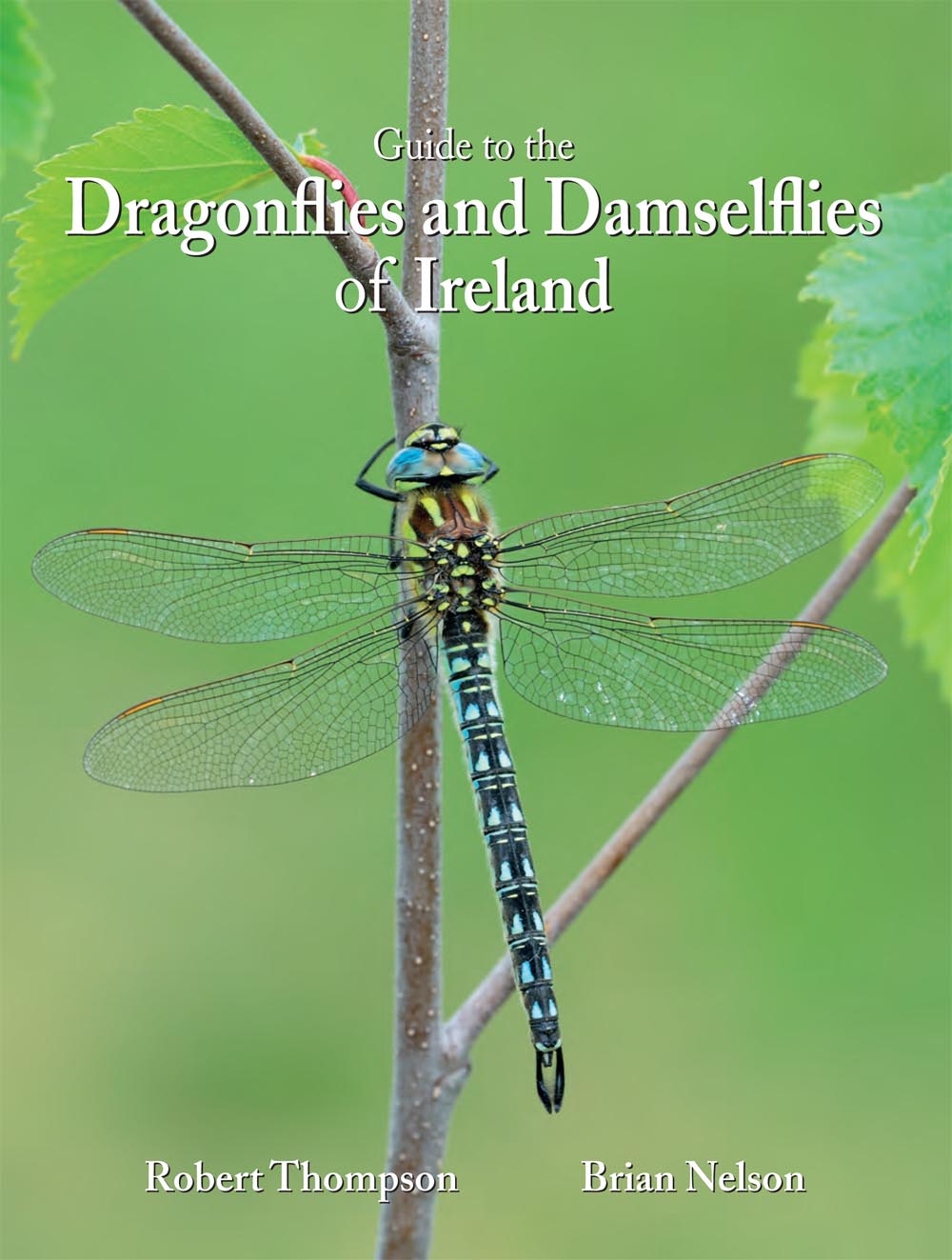 Guide to the Dragonflies and Damselflies of Ireland | Colourpoint Books